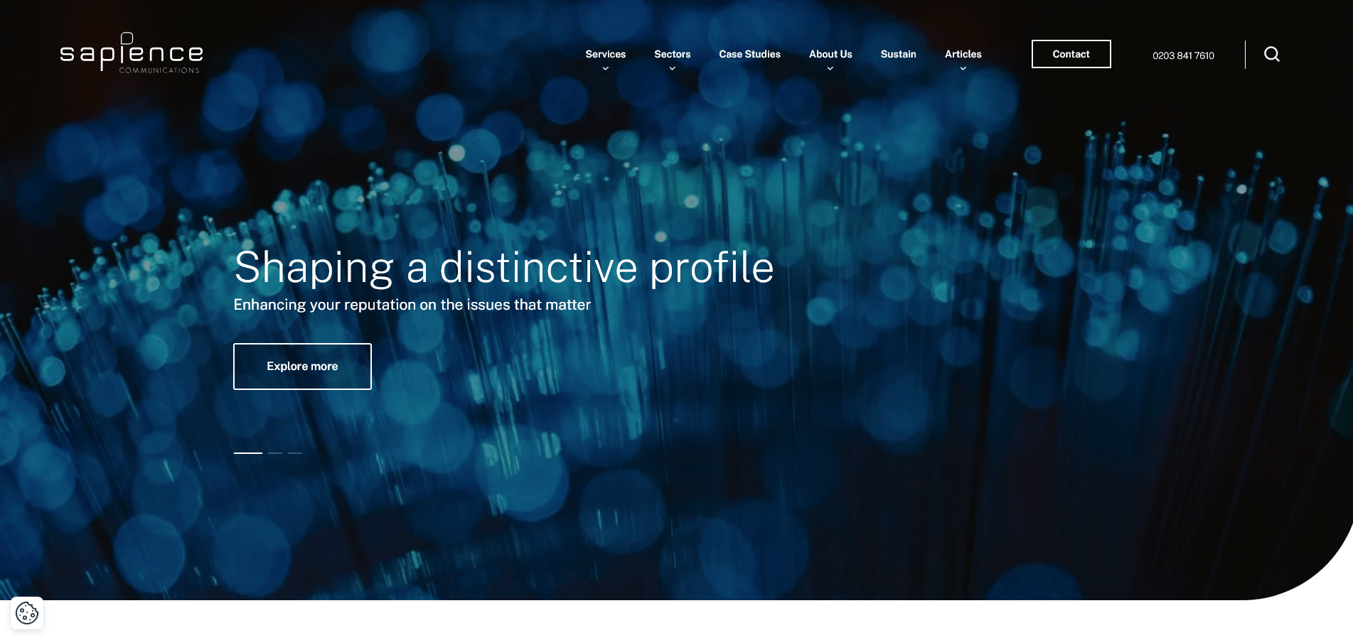 Resources | Sapience Communications